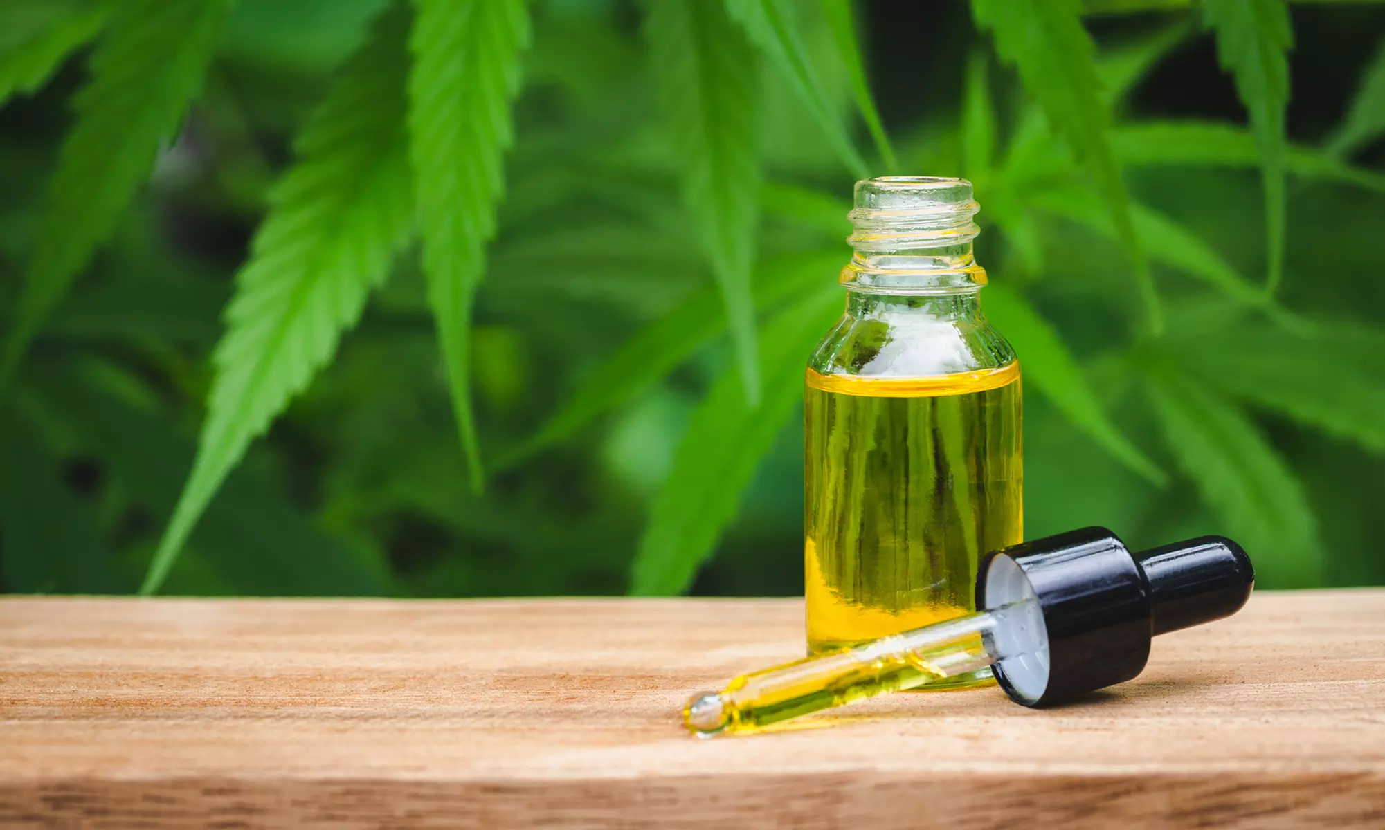 Matthew Mintz MD in Washington DC | Groupon