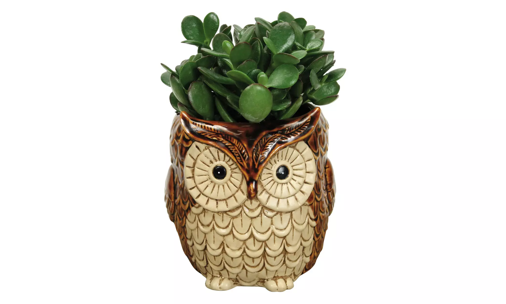 Character Planters | Groupon Goods