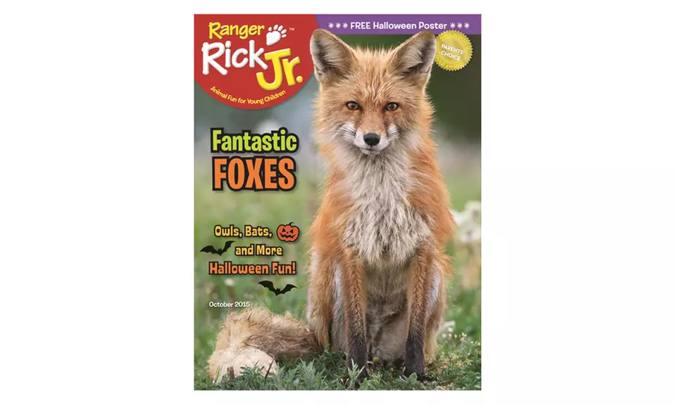 Children's Animal Magazine | Groupon Goods