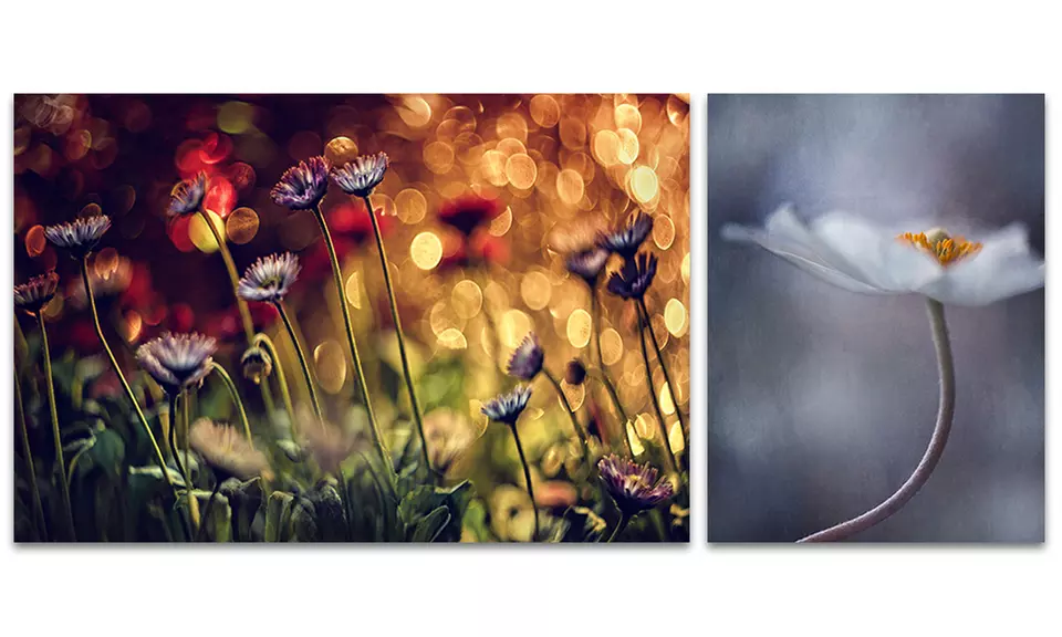Modern Floral Photography Prints | Groupon Goods