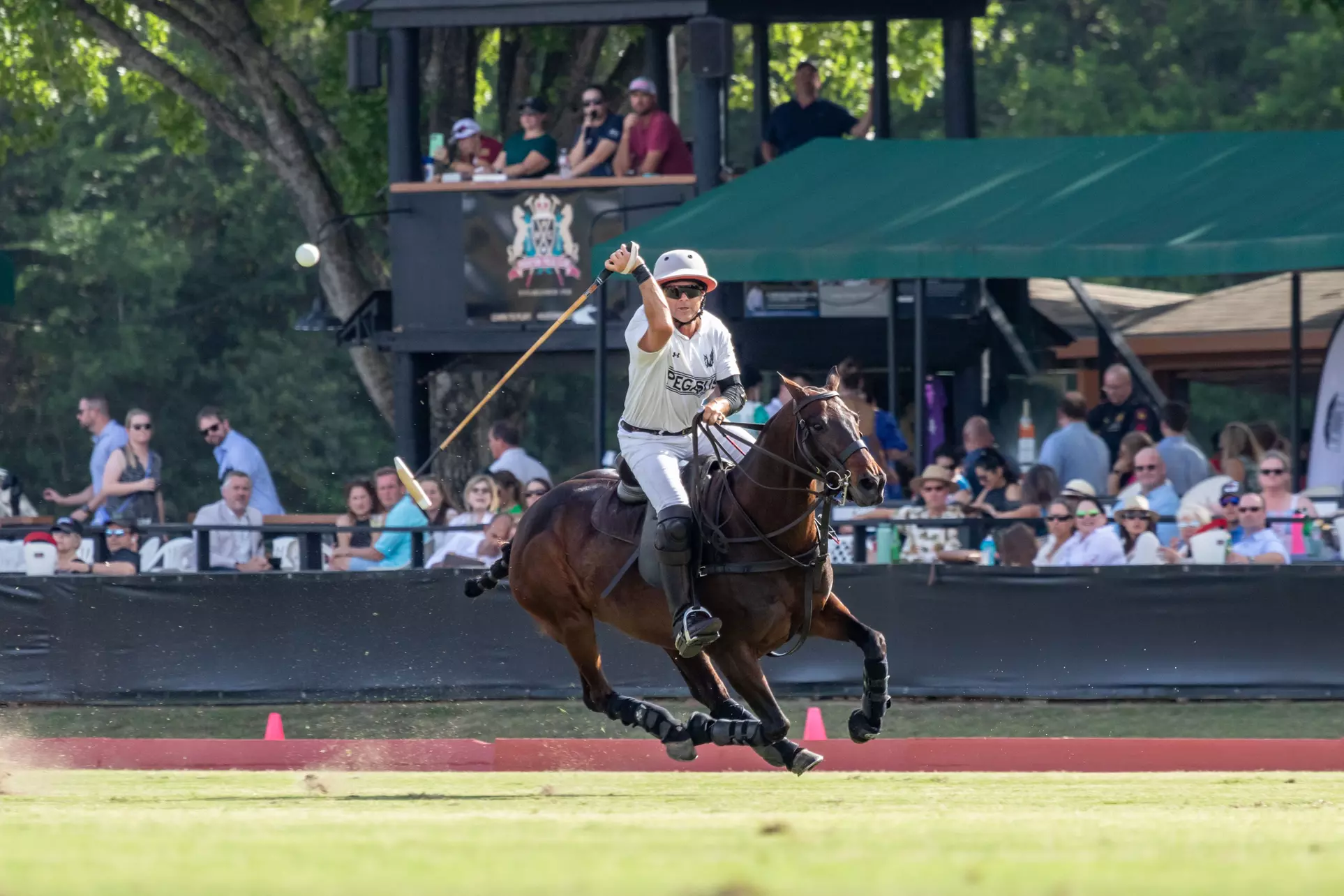 Houston Polo Club in Houston | Groupon