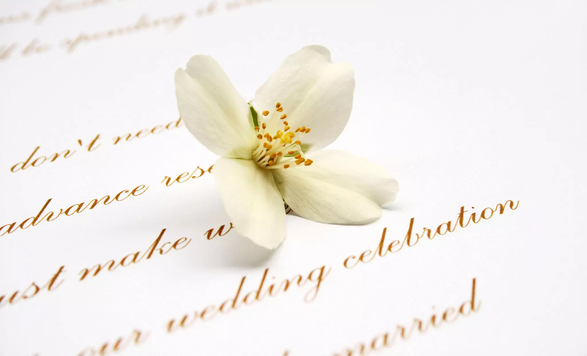 Fine Line Design in Inland Empire | Groupon