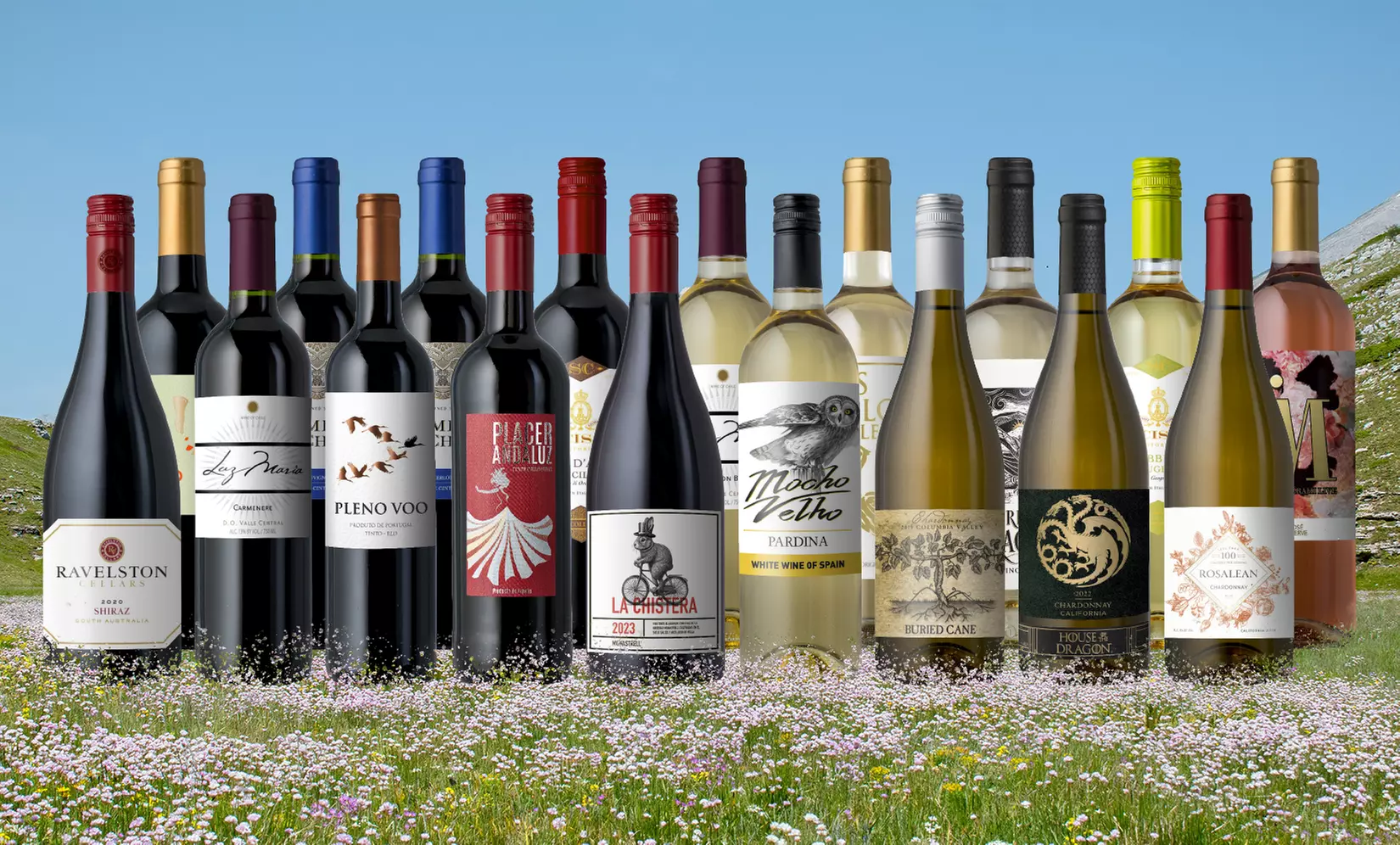 One or Two 18 Packs of Top Wines for Spring Bundle from Splash Wines ...