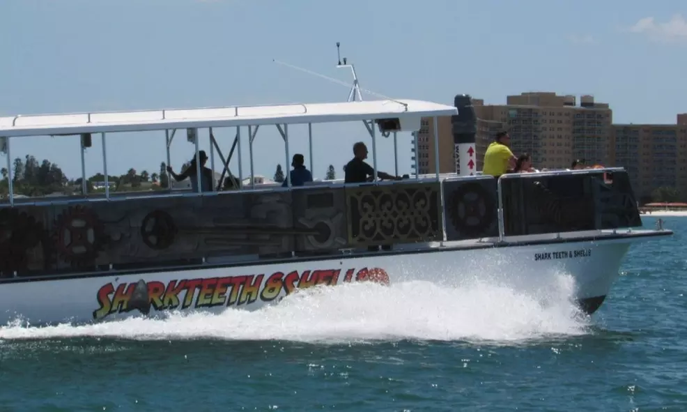 Shark Teeth & Shells in Clearwater | Groupon