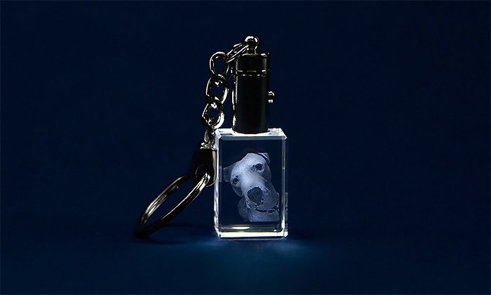 Up to 76% Off Custom Crystal Light-Up Photo Keychains | Groupon