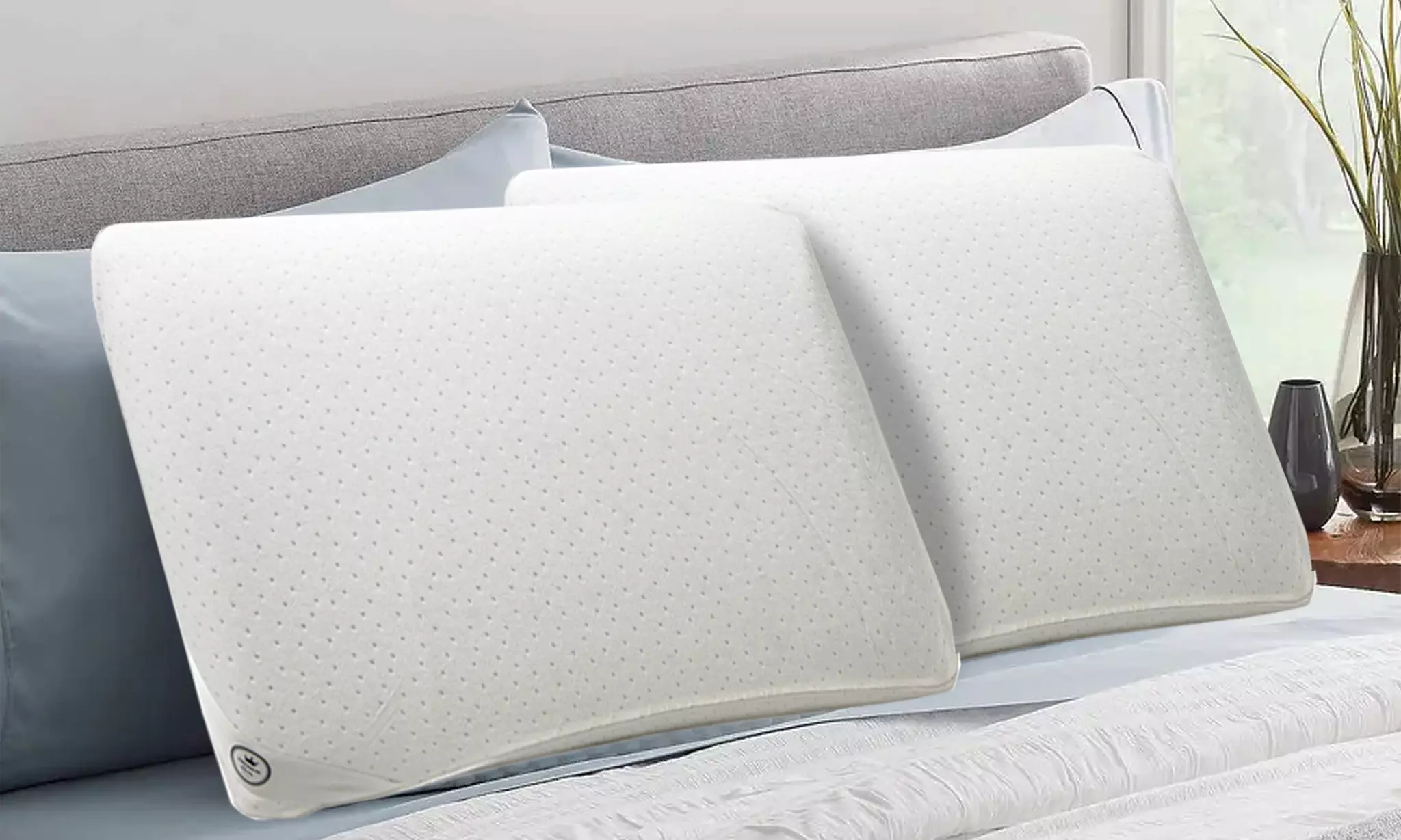 Oreillers à mémoire de forme, Sampur | Groupon Shopping