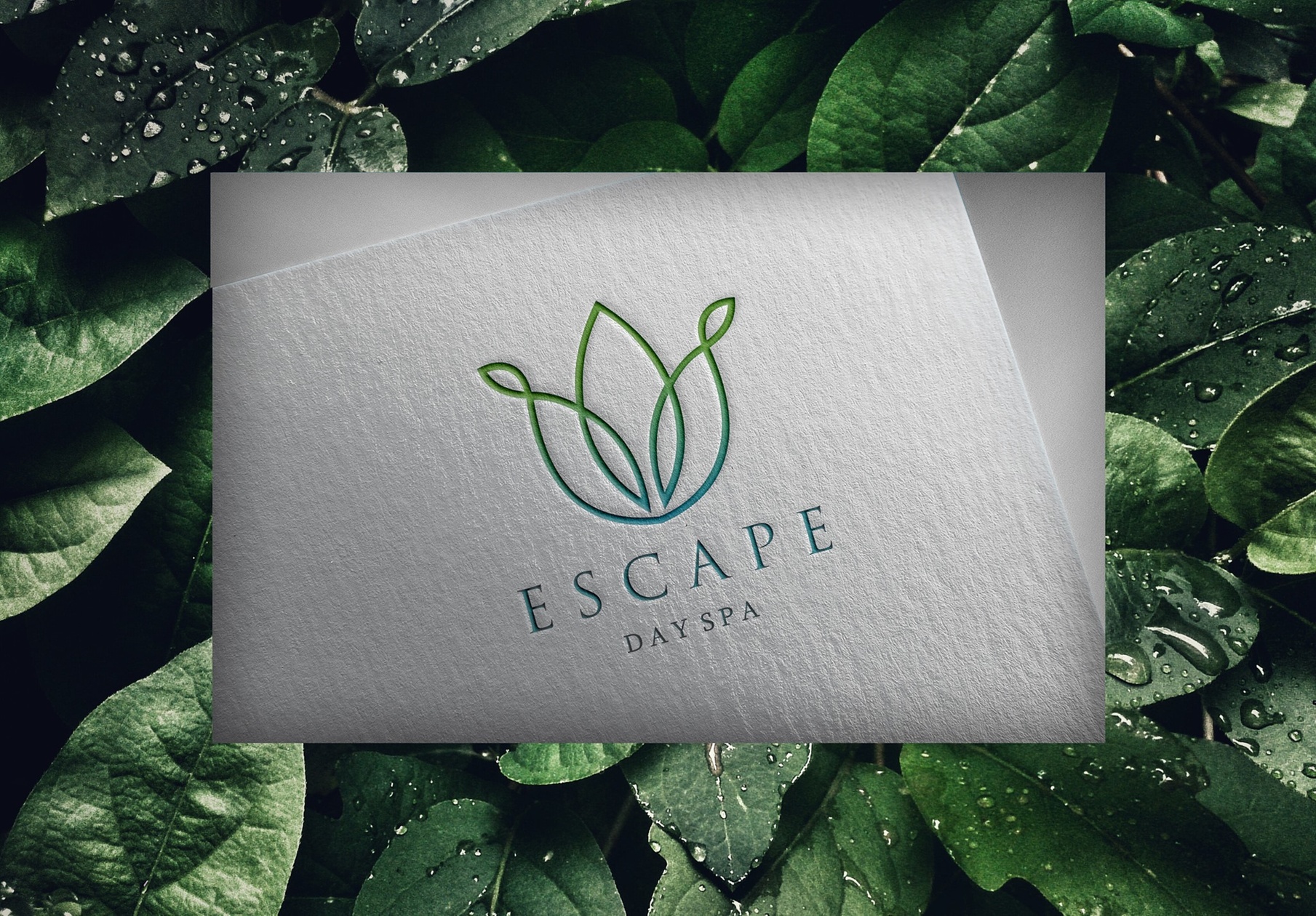 Escape Med Spa in Beverly Hills | Groupon