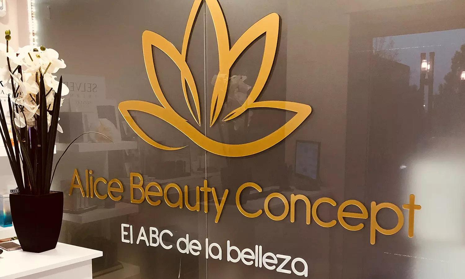 Alice Beauty Concept - Desde 59,99 € - Granada | Groupon