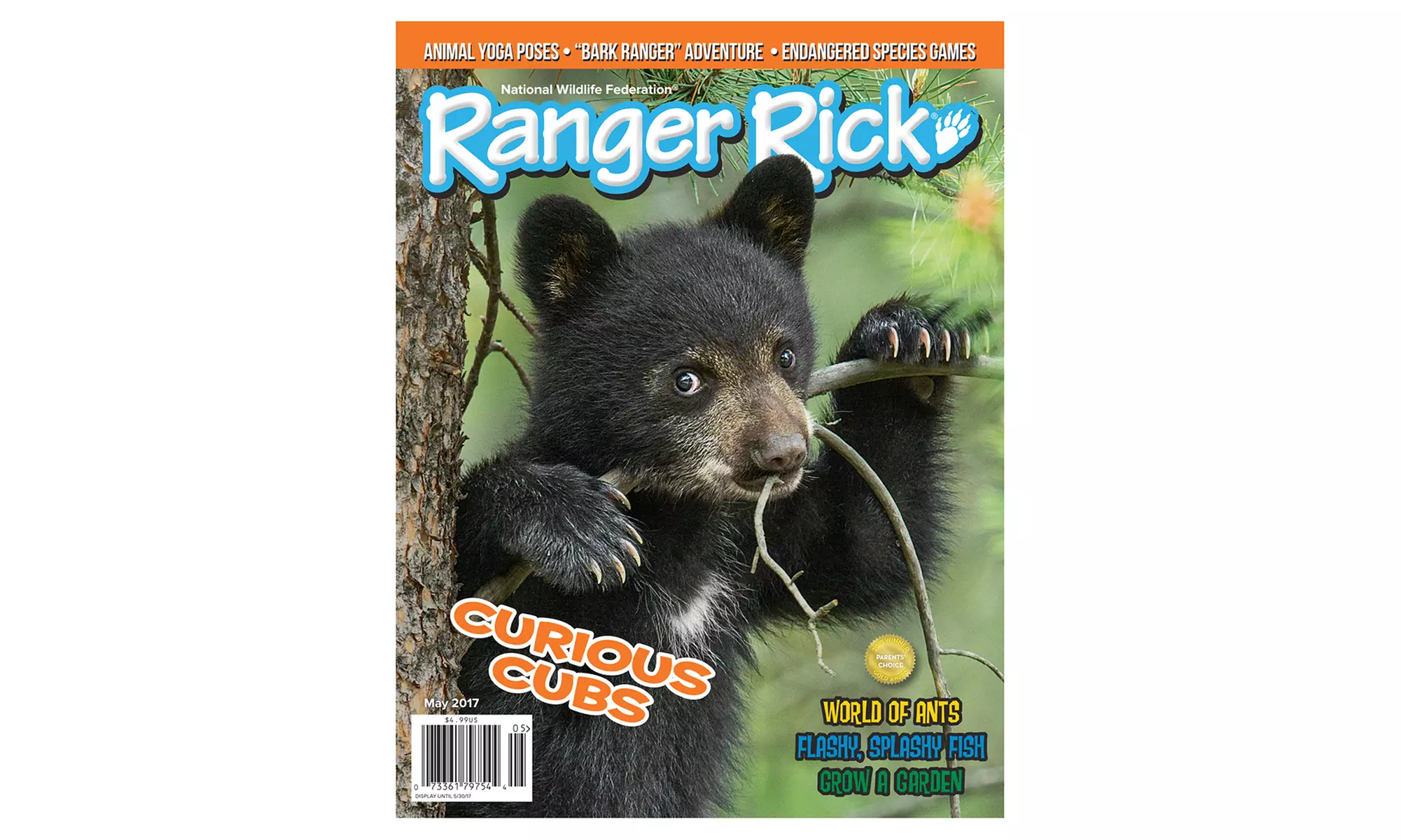 Ranger Rick Magazine | Groupon Goods
