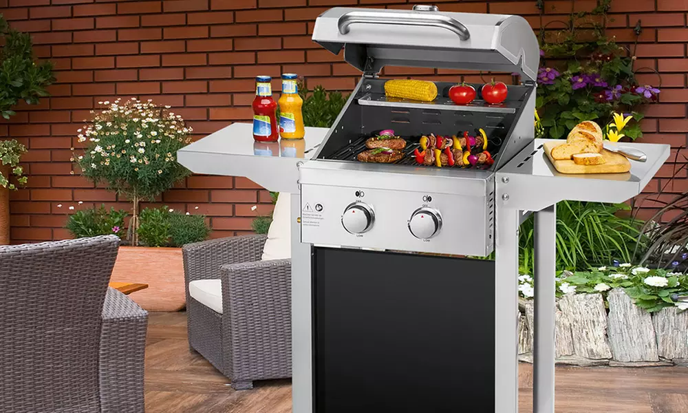Barbecue grill à gaz 2 brûleurs Proficook PC-GG1255 | Groupon Shopping