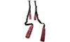 Cal Exotics Over-the-Door Swing | Groupon Goods