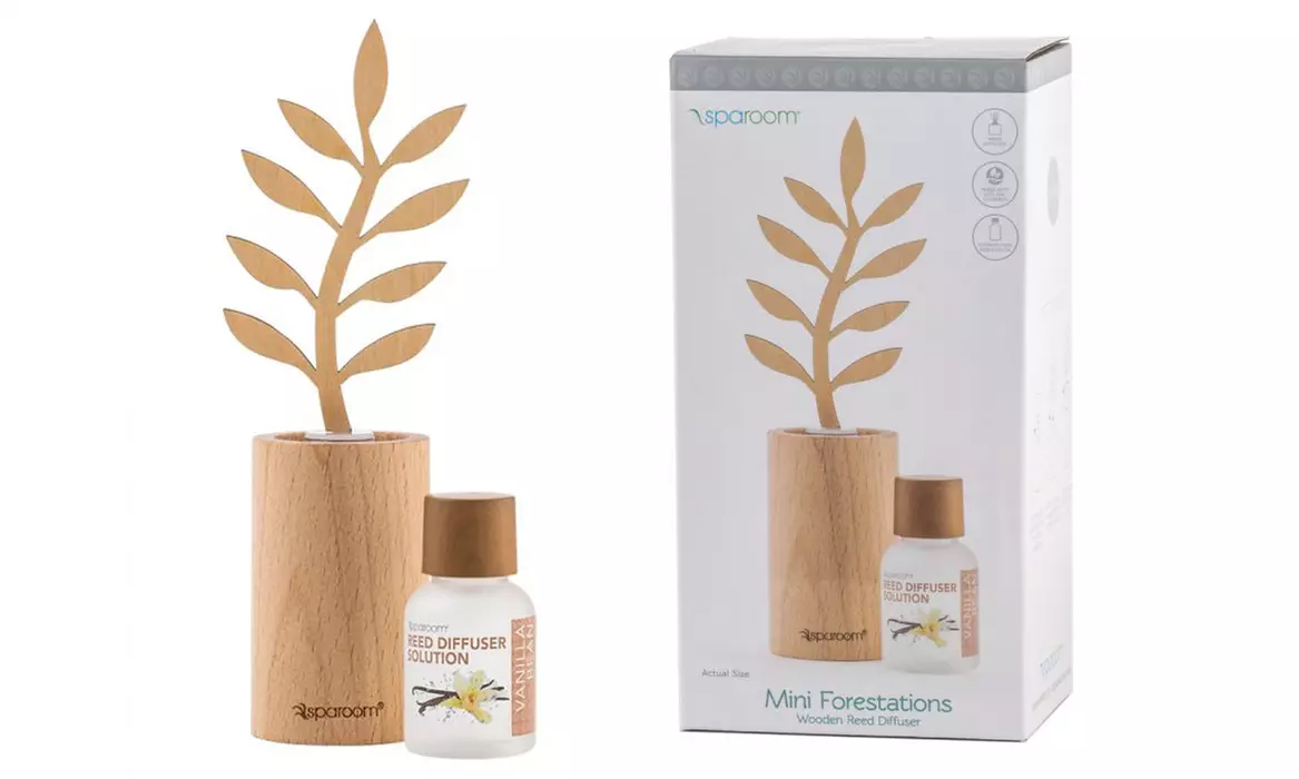 Sparoom Mini Reed Diffuser Set | Groupon Goods