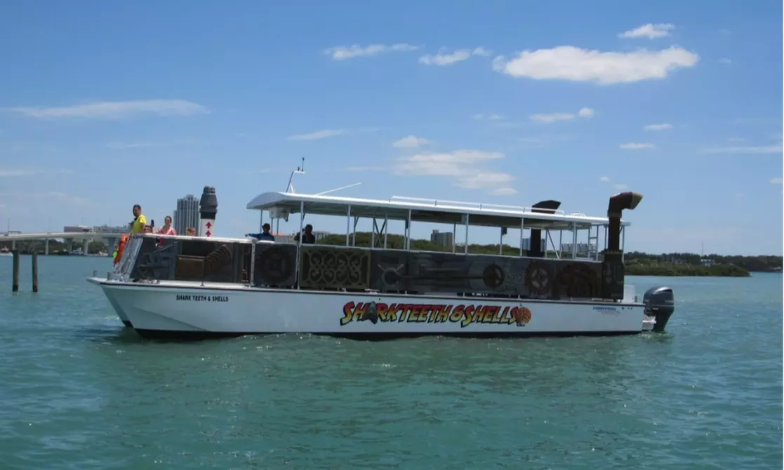 Shark Teeth & Shells in Clearwater | Groupon