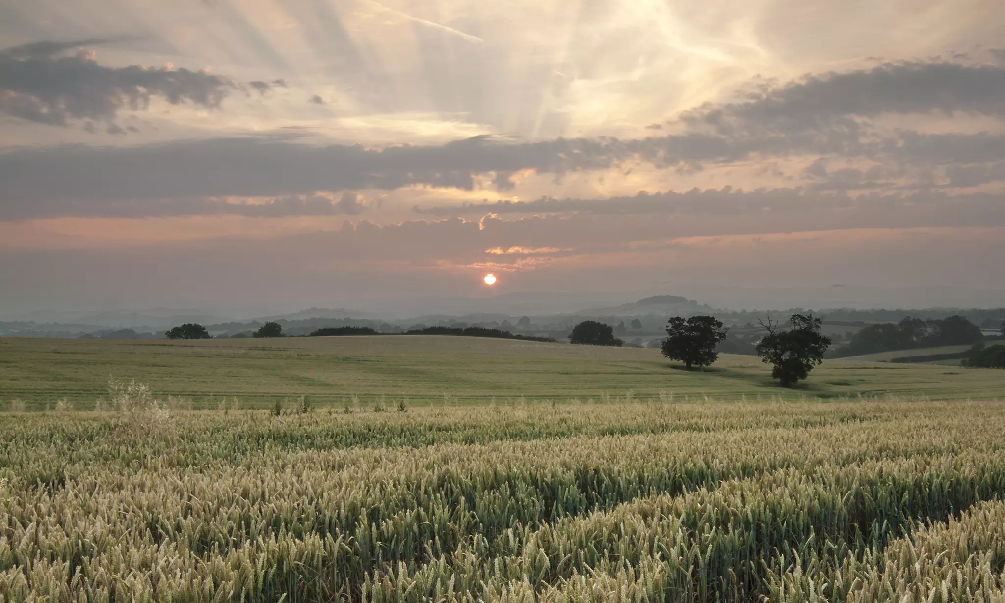 Compton Pool Farm Cottages in Paignton} | Groupon Getaways