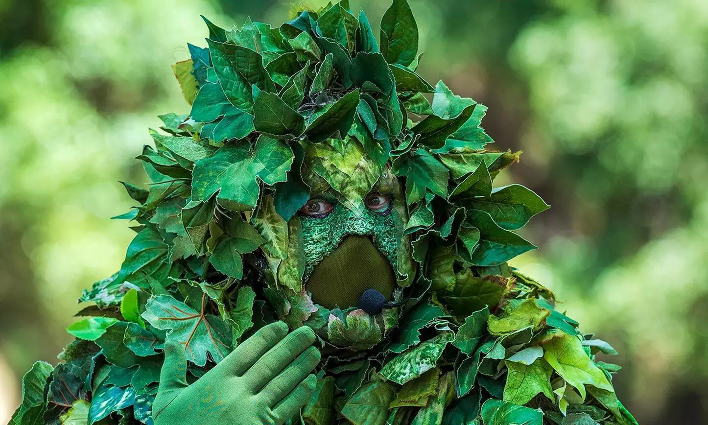 Things To Do In Sarasota - Deals on Activities in Sarasota, FL | Groupon