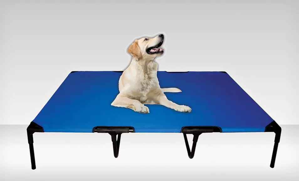 PetZoom Elevated Pet Cot | Groupon Goods