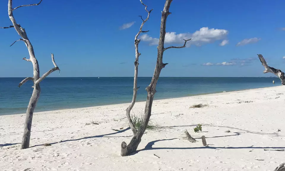 Things To Do In Cape Coral - Deals on Activities in Cape Coral, FL ...