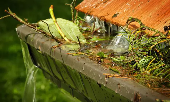 Gutter Dynamics in Richmond | Groupon