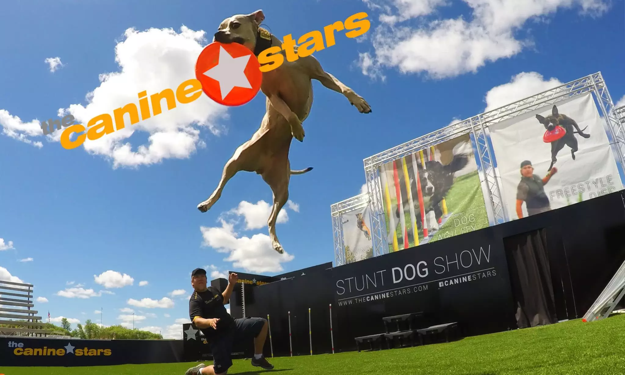 The Canine Stars: Stunt Dog Show St George Theatre Staten Island New ...