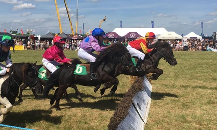 Durham County Show in - Thornley | Groupon