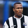 Newcastle Legends in - Newcastle | Groupon