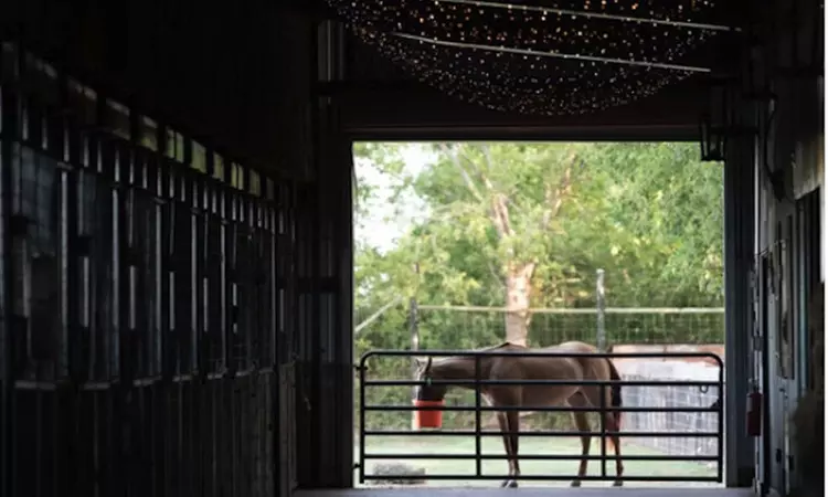 Rockin’ Star Ranch - Texas - From $101.70 - Brenham | Groupon
