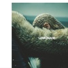 Beyoncé Lemonade Visual Album | Groupon Goods