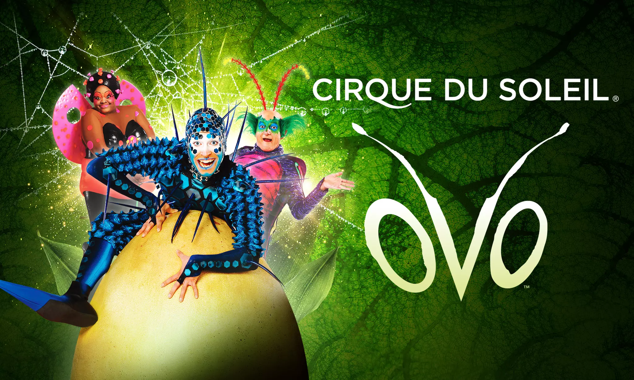 Cirque du Soleil Ovo at Paycom Center OKC 2025 in Oklahoma City | Groupon
