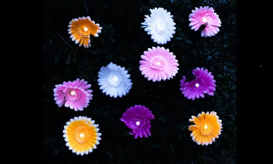 Solar-Powered Daisy Lights | Groupon Goods