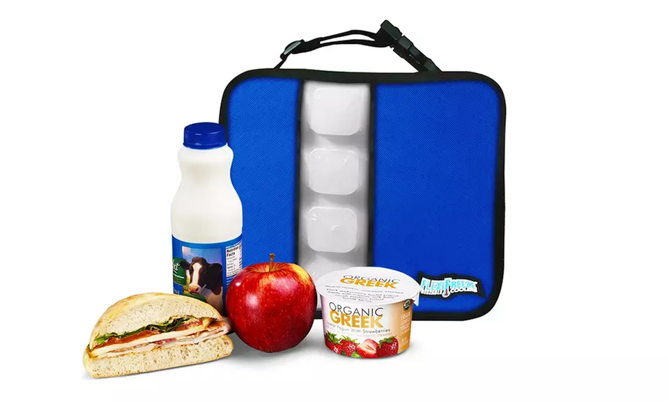 The FlexiFreeze Lunch Box Cooler | Groupon Goods