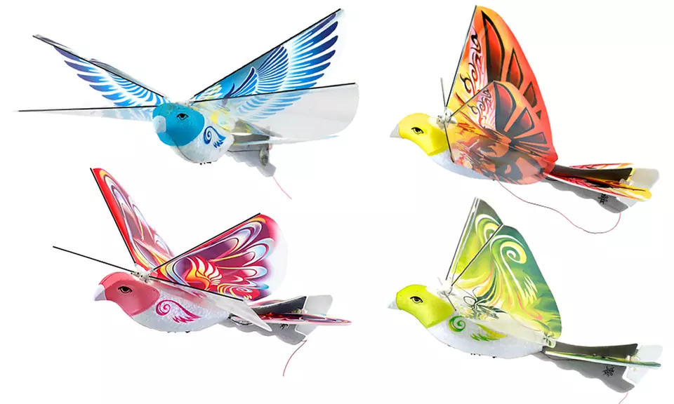 eBird Remote-Controlled Toy | Groupon Goods