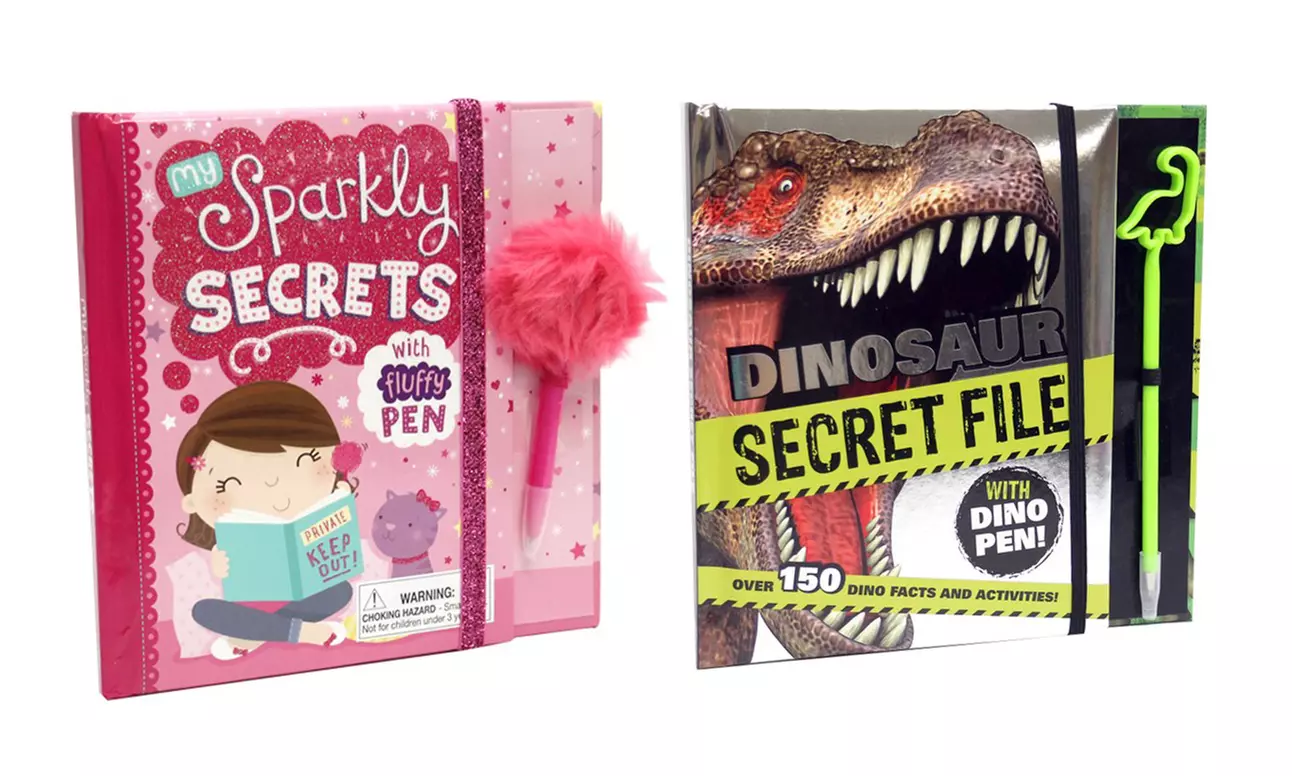 Dinosaur or Diary Activity Book | Groupon Goods