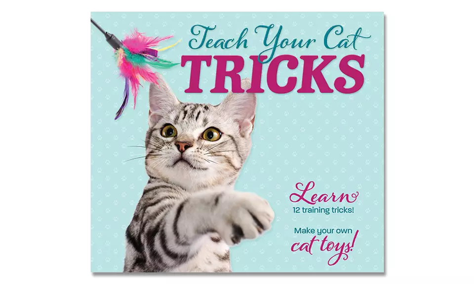 Teach Your Cat Tricks Kit | Groupon Goods