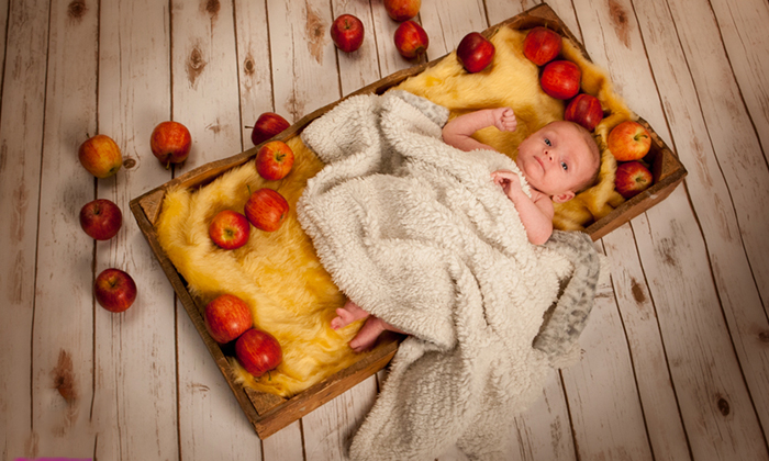 Family or Group Shoot With Prints - Maxam Photo | Groupon