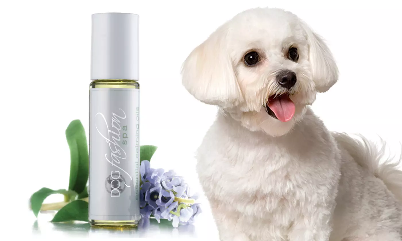 Calming Essential Oils for Dogs | Groupon Goods