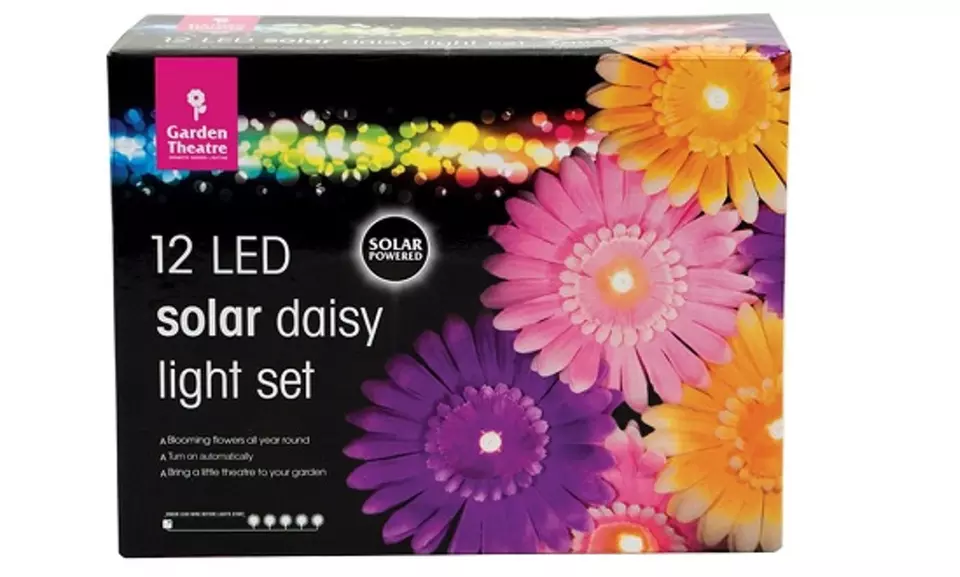 Solar-Powered Daisy Lights | Groupon Goods