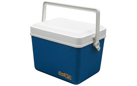Esky® Cooler | Groupon Goods