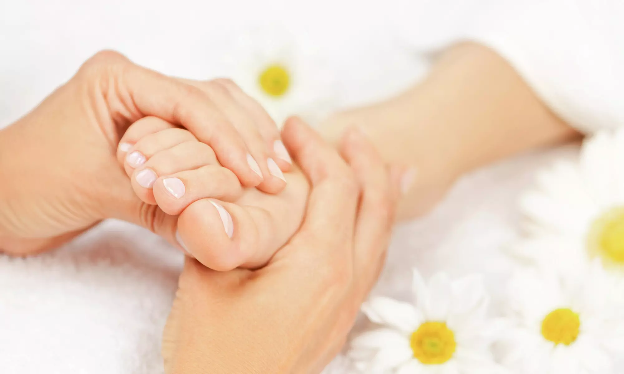 Five Elements for Well Being in Charlotte | Groupon