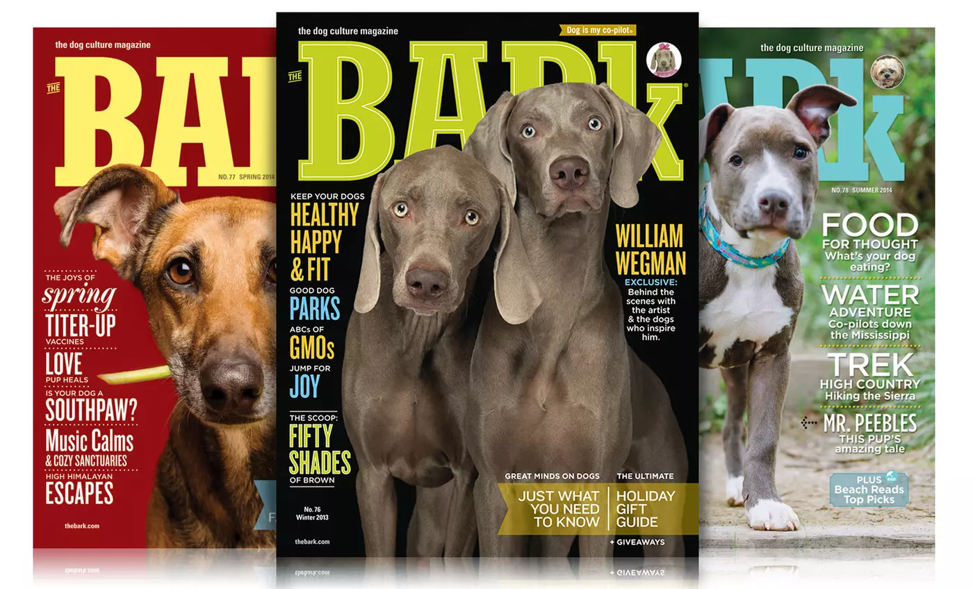 The Bark Magazine | Groupon Goods
