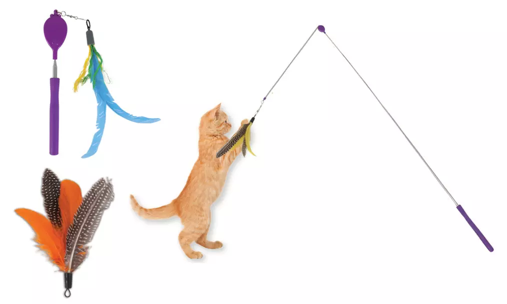 Jackson Galaxy Wand Toy for Cats | Groupon Goods