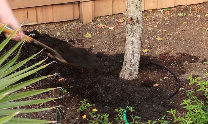 Miracle-Gro 100-Ft. Soaker Kit | Groupon Goods