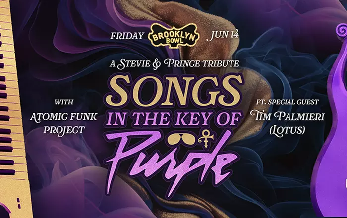 Atomic Funk Project: Songs in the Key of Purple f/ Tim Palmieri- Lotus ...