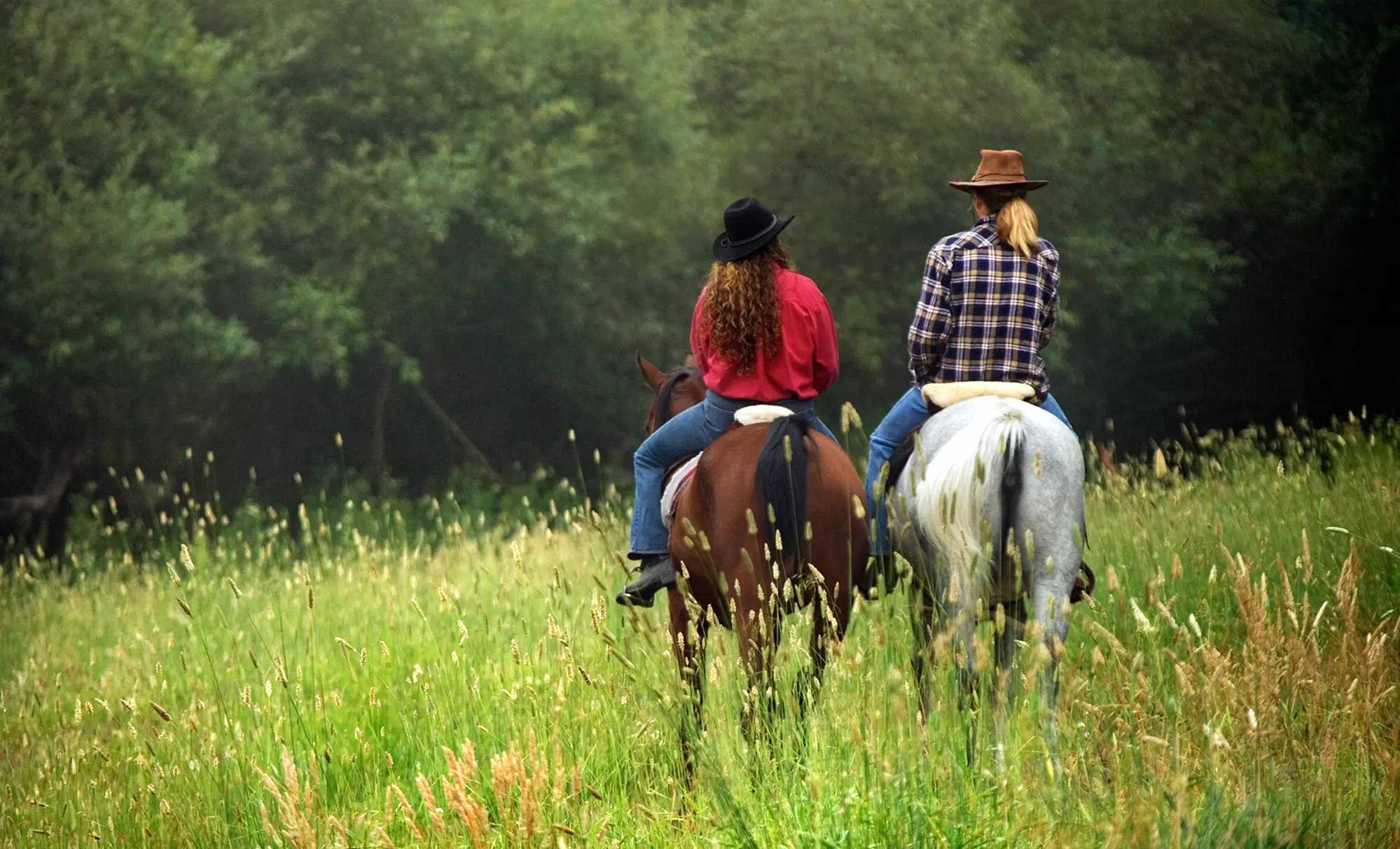 Grace Stables in Tallahassee | Groupon