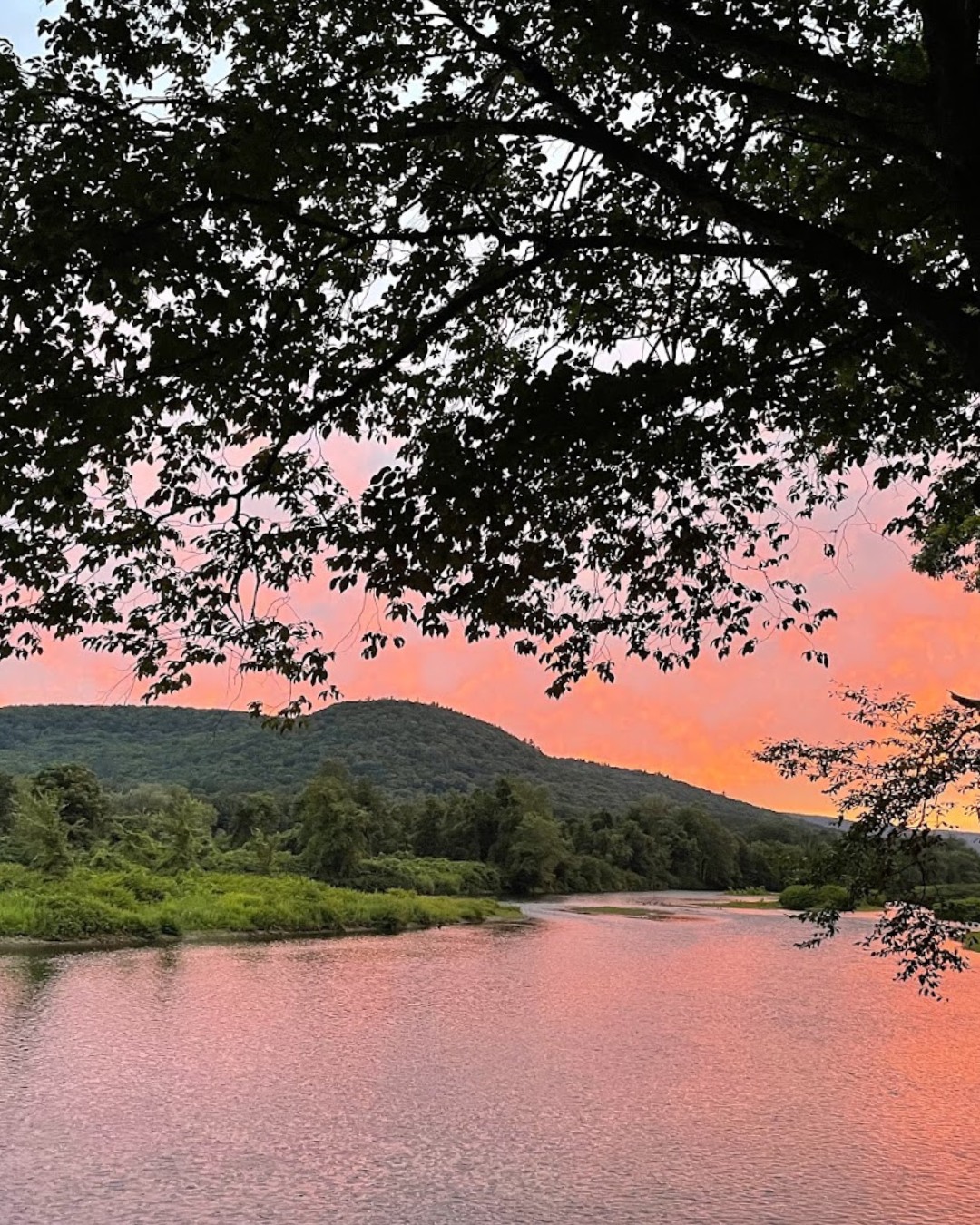 Crab Apple Whitewater in Charlemont | Groupon