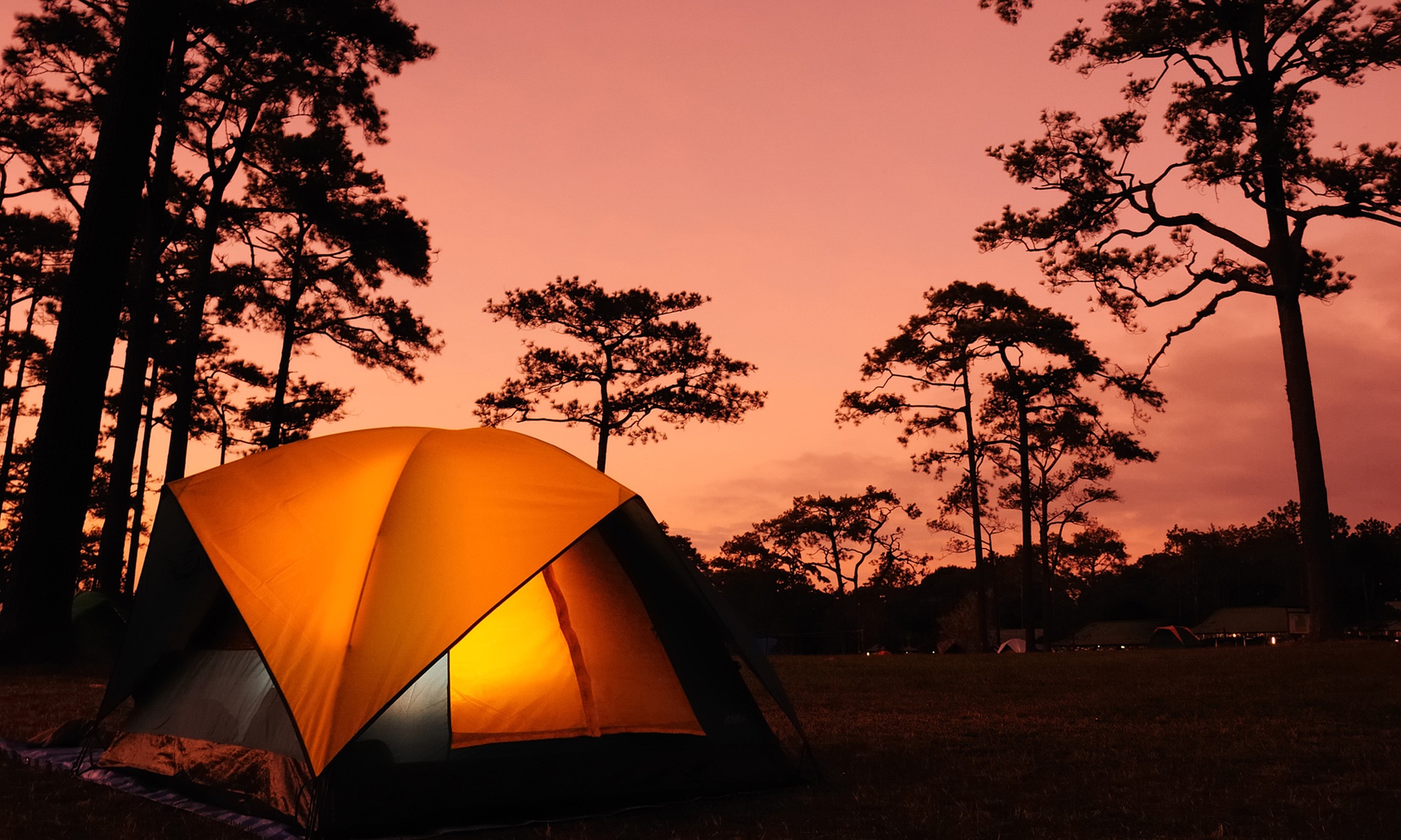 Bear Run Campground in Portersville | Groupon