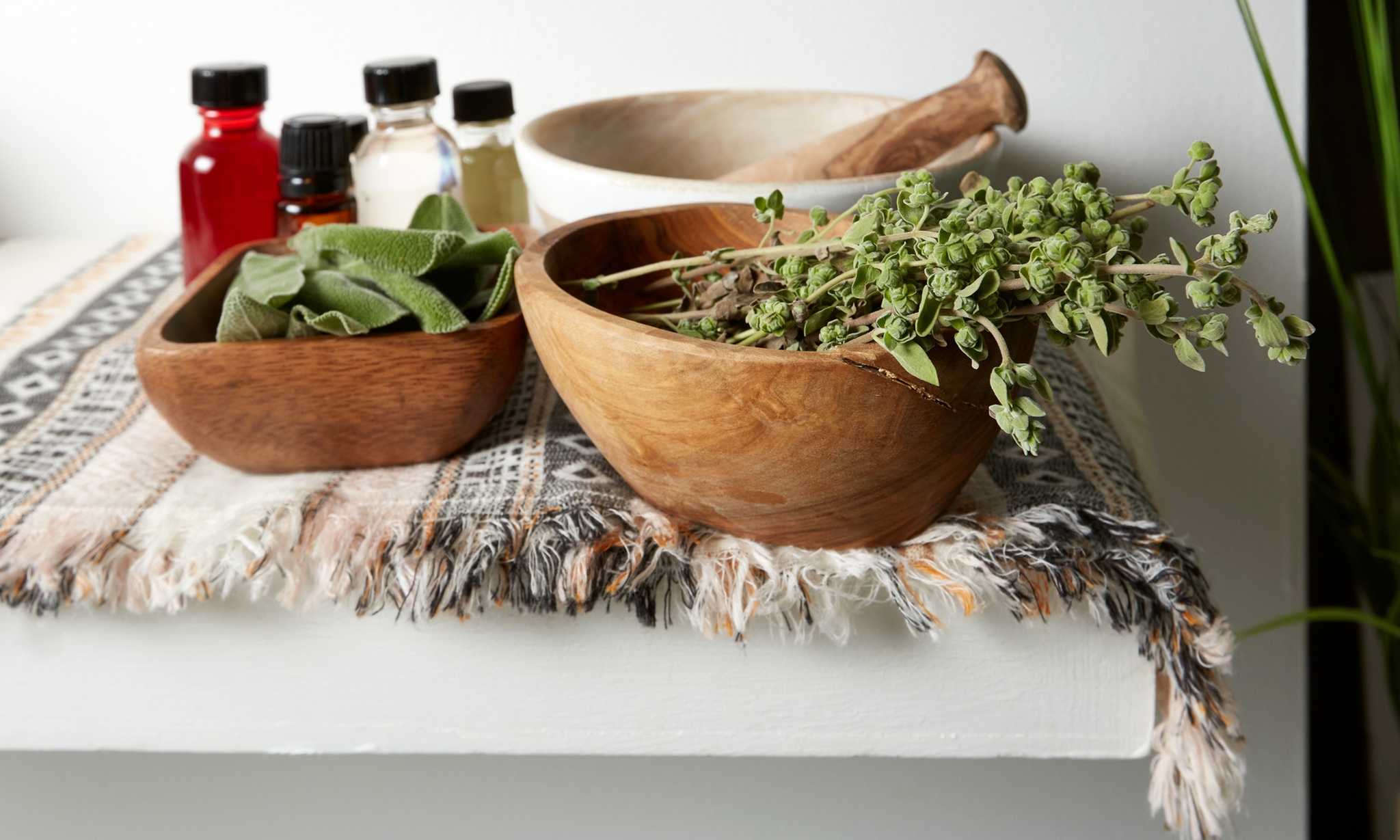 Zealous For Zion Healing in Hollywood | Groupon