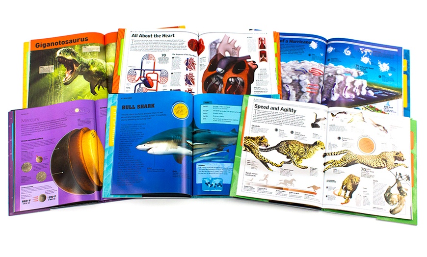 Discovery Kids Fact Books (6pc.) | Groupon Goods