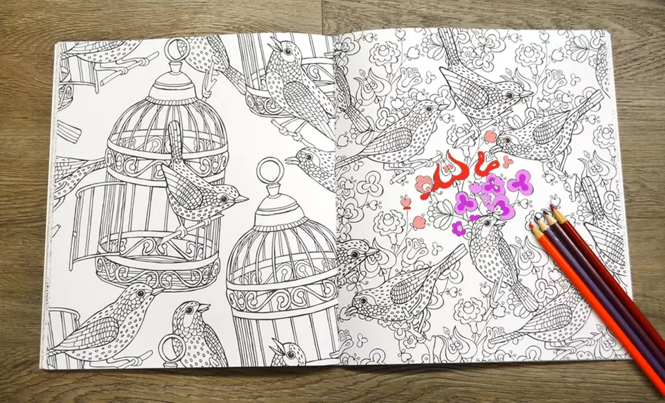 Adult Coloring Book Set (28-Pc.) | Groupon Goods