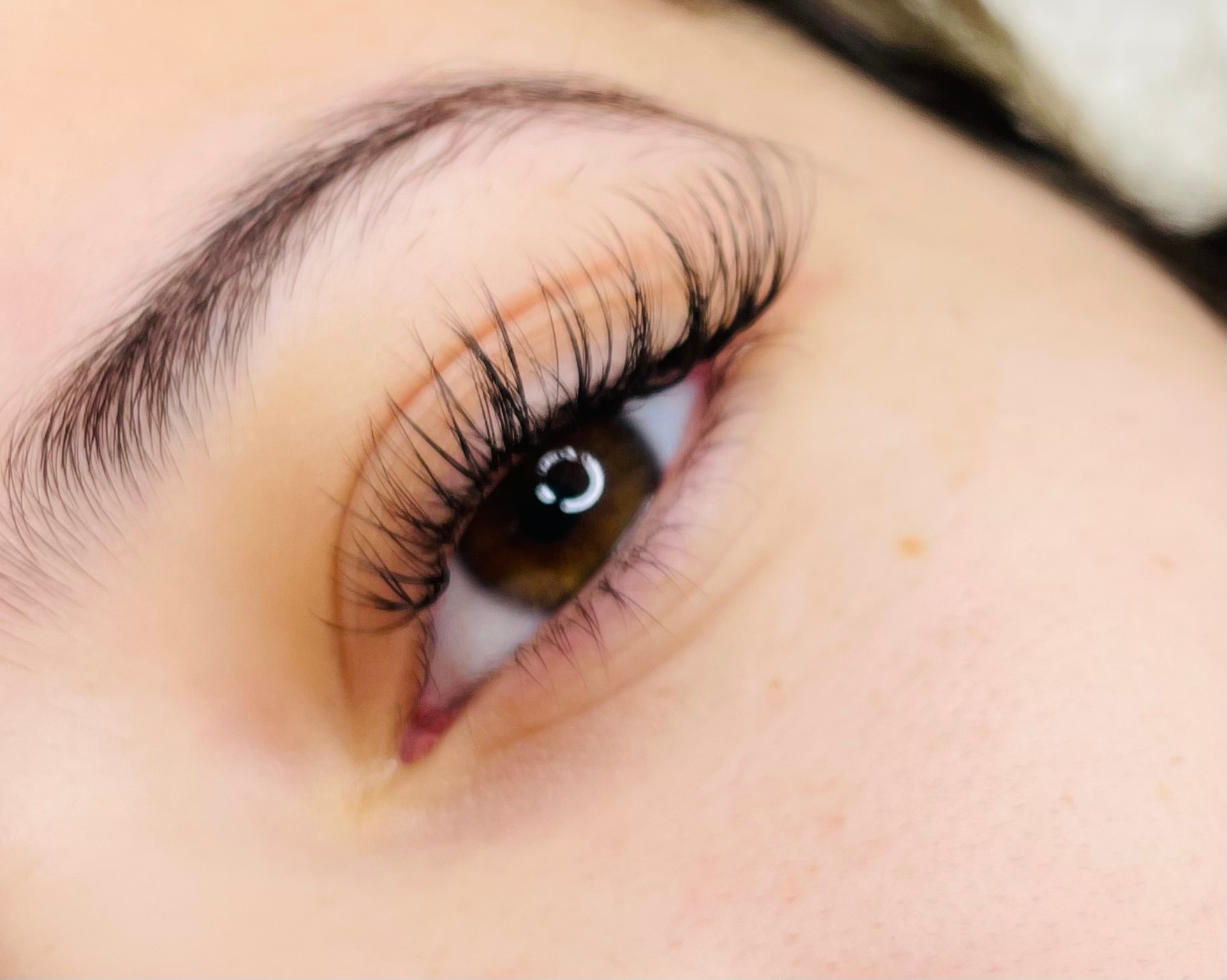 Rachel’s Lash Bar in Bremen | Groupon