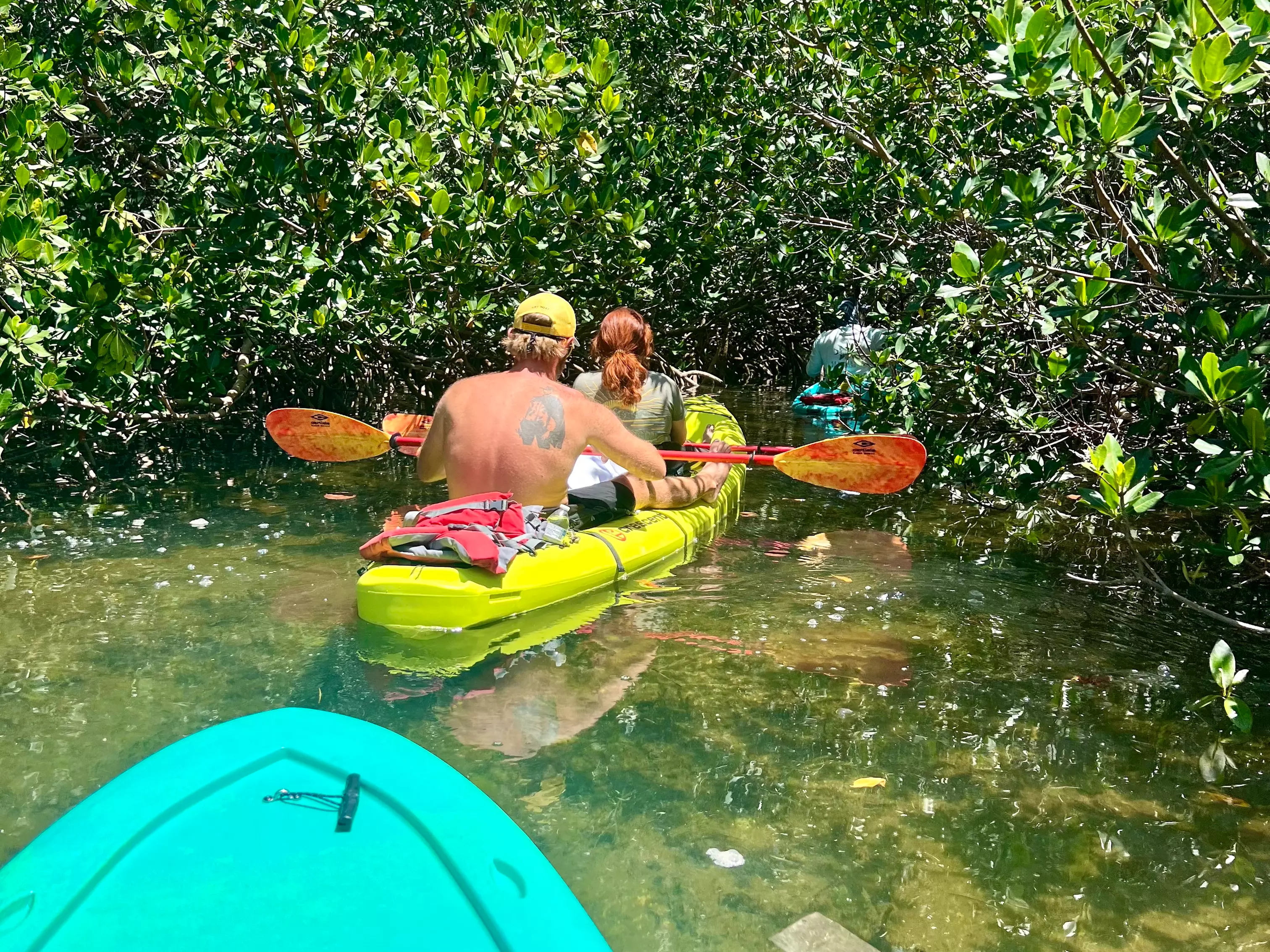 Things To Do In Brandon - Deals on Activities in Brandon, FL | Groupon